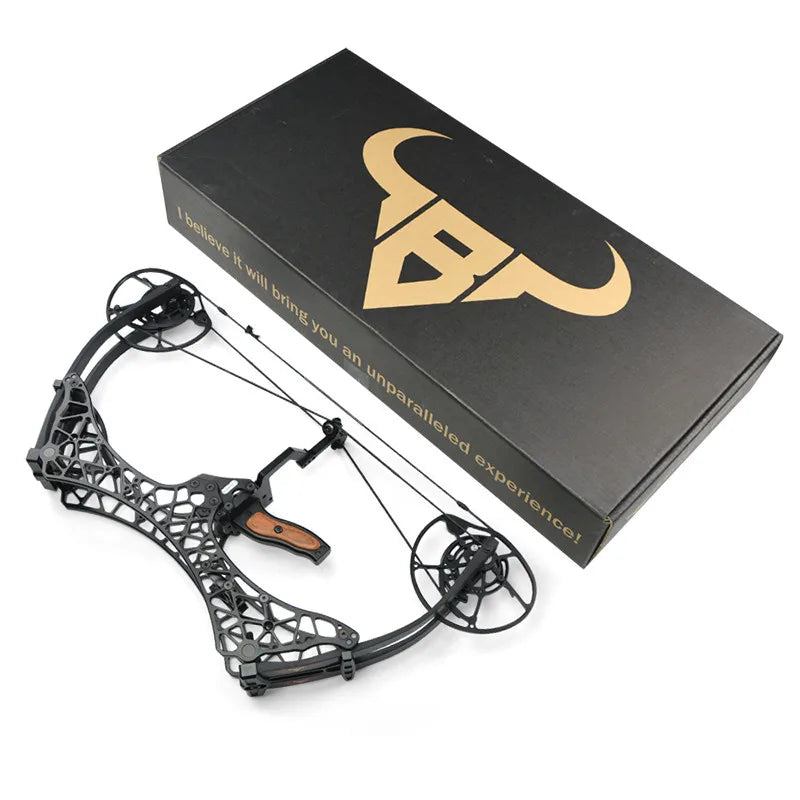 30-80lbs Steel Ball Archery Purpose Compound Bow Set Right Hands Univ ...