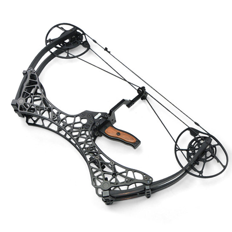 Linkboy Archery Dual-use Compound Bow Slingshot Fishing Catapult Bow ...